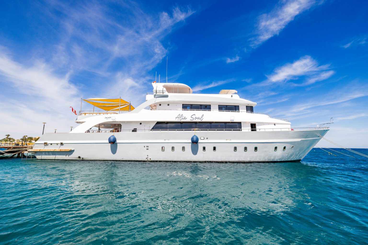 Homepage - ORCA Dive Clubs