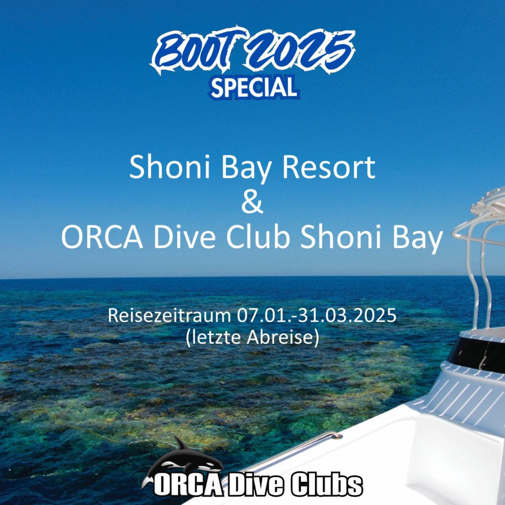 boot 2025 Special Shoni Bay Resort & ORCA Dive Club Shoni Bay - ORCA Dive Clubs